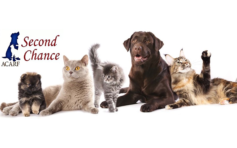 ACARF/Second Chance Craft Show – Ad Astra Radio | Your Hometown Radio ...